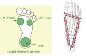 Felnőttkori lábfejdeformitások, annak okai, kezelésük
